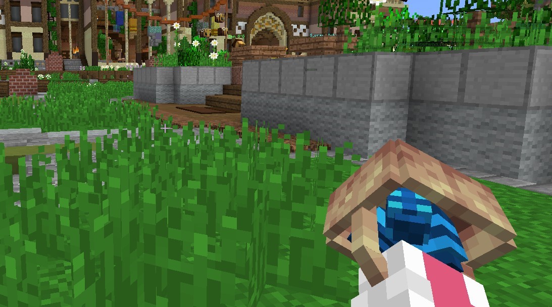 Easter Egg Basket bug | LabyMod Idea